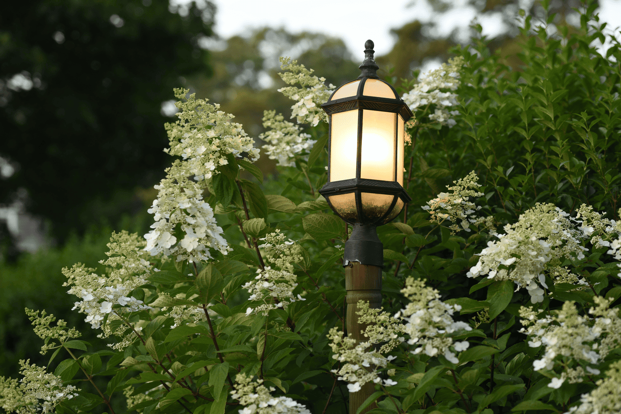 6 Lampu Taman Outdoor Terbaik, Bikin Halaman Makin Estetik!